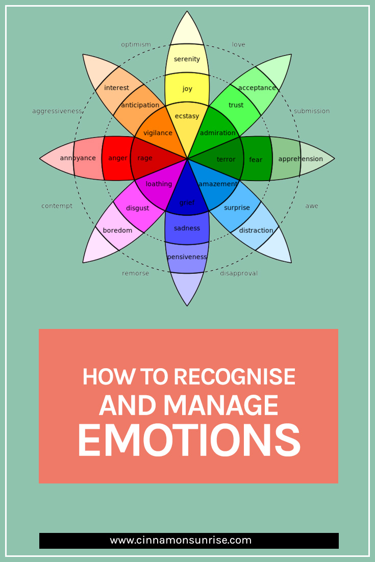 How to recognise and manage your emotions - Cinnamon Sunrise